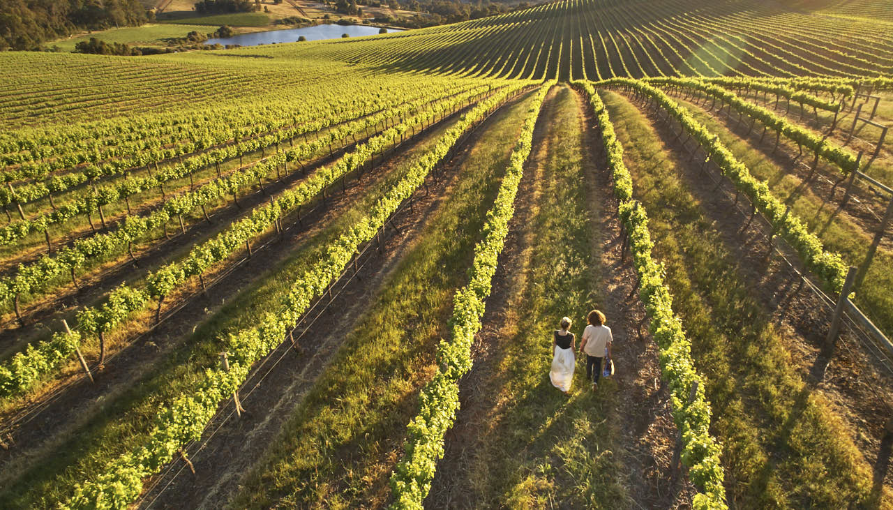 Dardanup & Ferguson Valley - Visit Bunbury Geographe