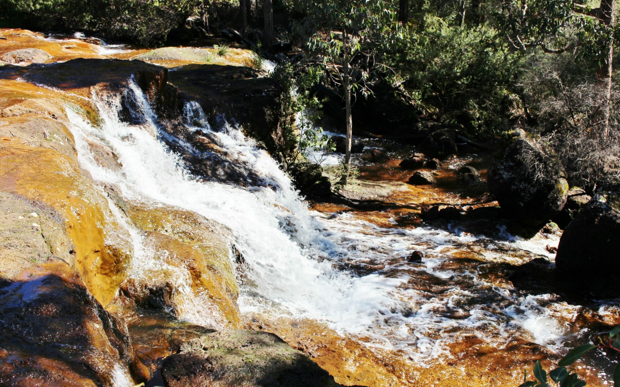 14 Must Dos in the Capel Region - Visit Bunbury Geographe